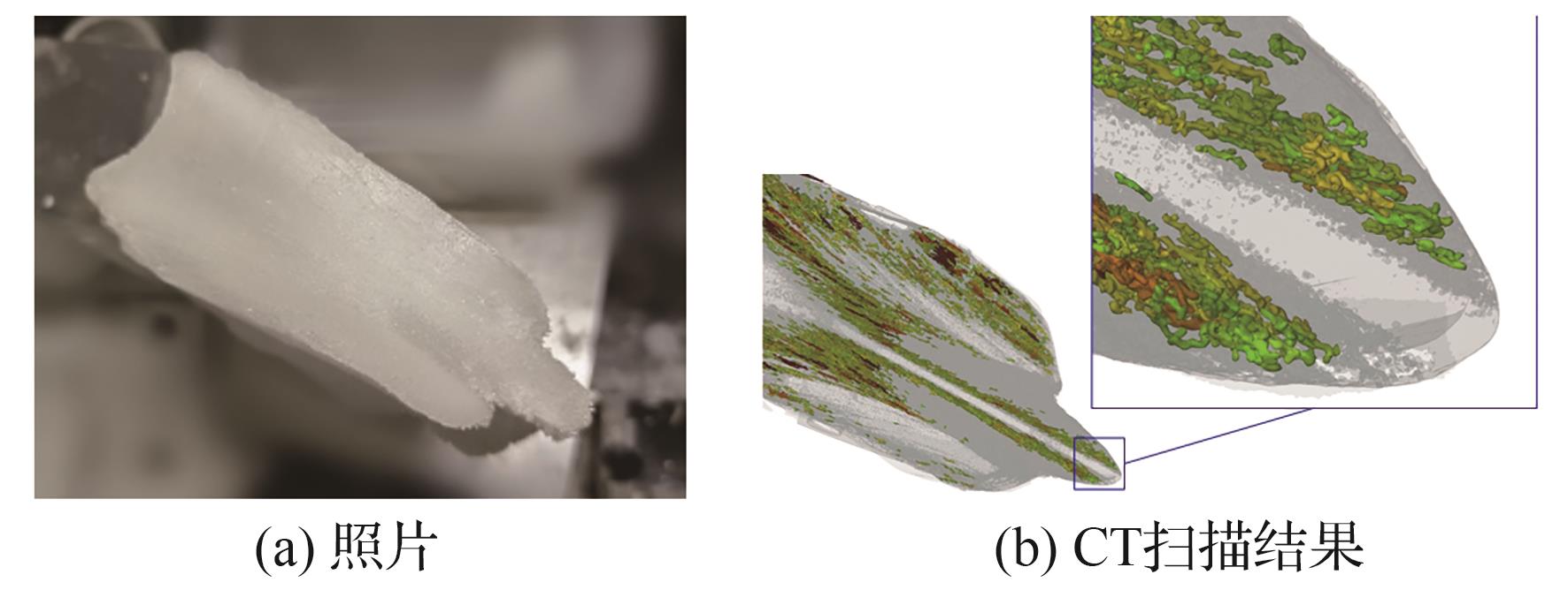 飞机翼面冰的结构建模与弹性模量预测